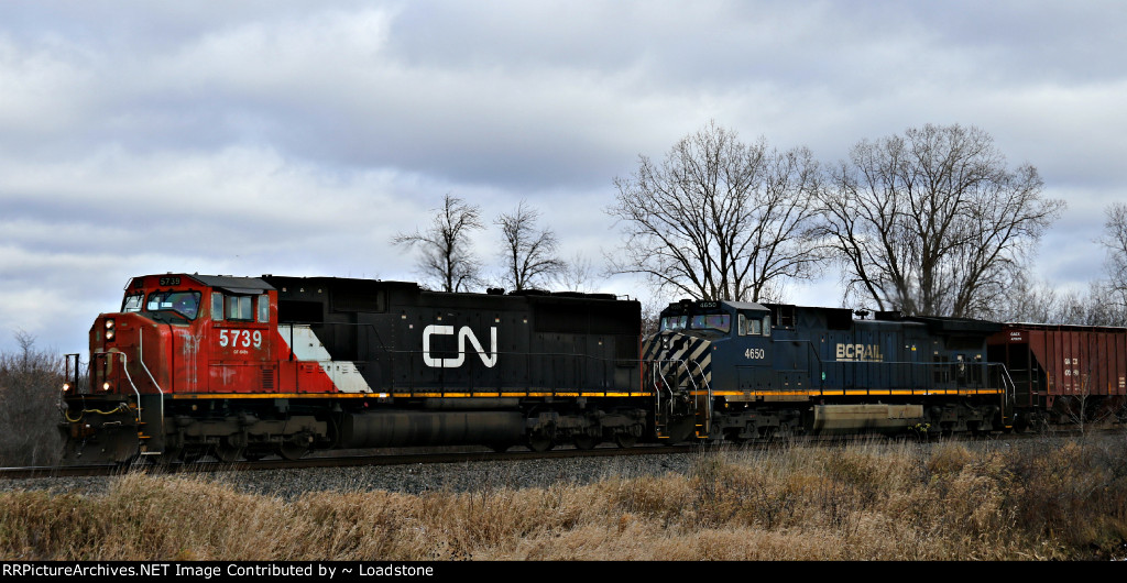 CN 5739 / BCOL 4650